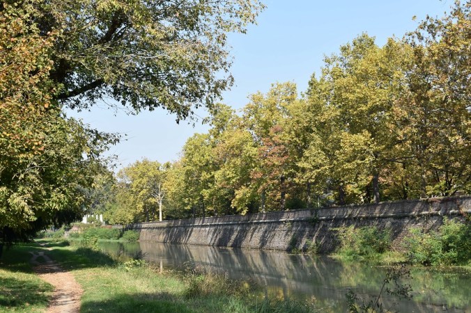 Lungargine di Via Goito | un albero al giorno