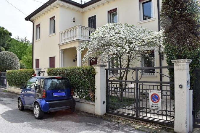 Cornus florida – Corniolo da fiore | un albero al giorno