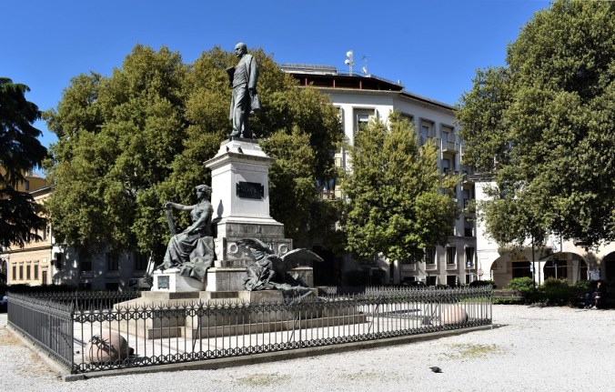 Quercus ilex – Leccio | un albero al giorno